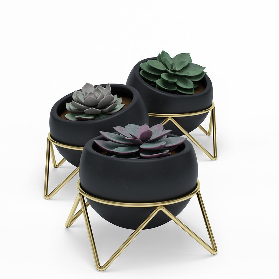 Potsy Planter Set – Gadget Lab Canada